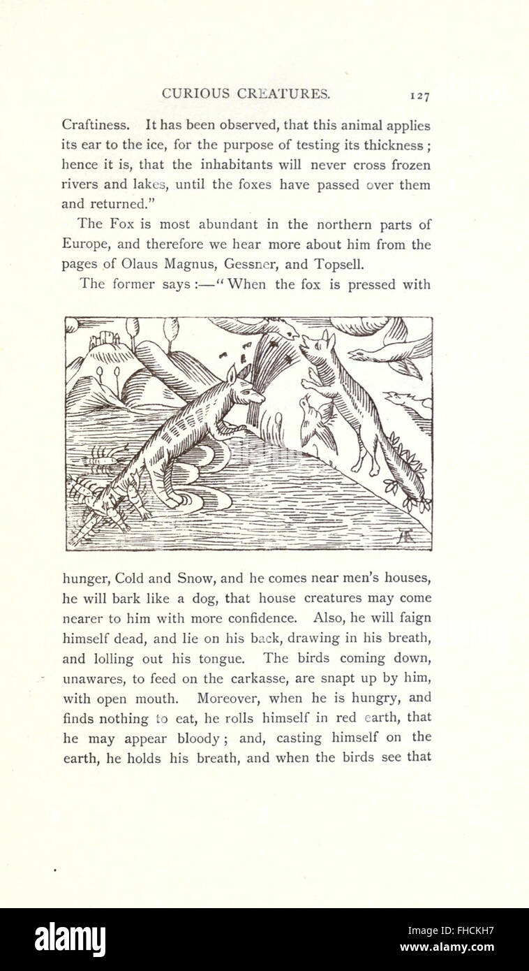 Curious creatures in zoology, University of California Libraries ...