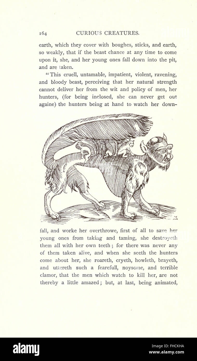 A collection exploring unusual and fascinating creatures in zoology ...