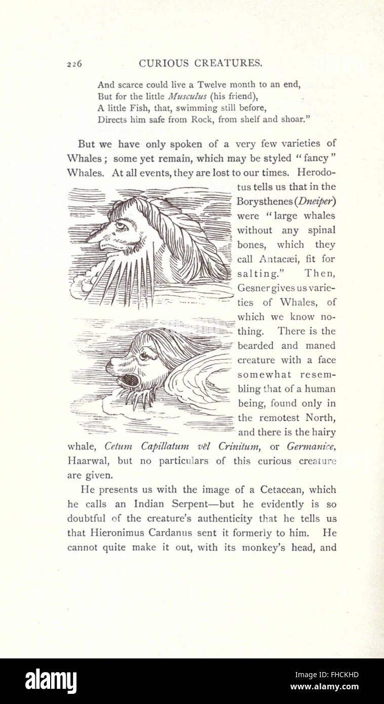 A collection of studies on fascinating and unusual creatures in the ...