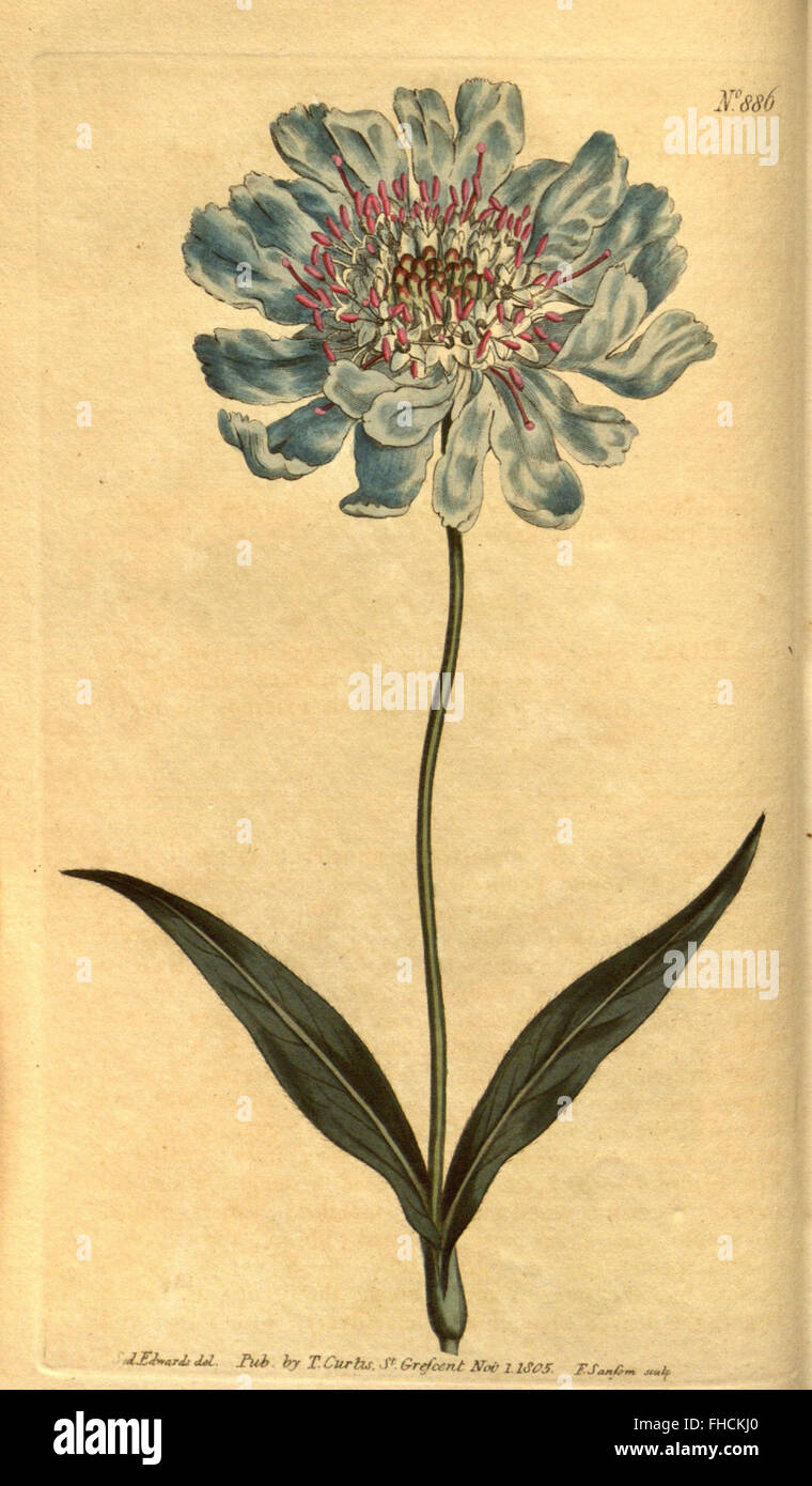 A renowned botanical periodical showcasing plant species, housed in the ...