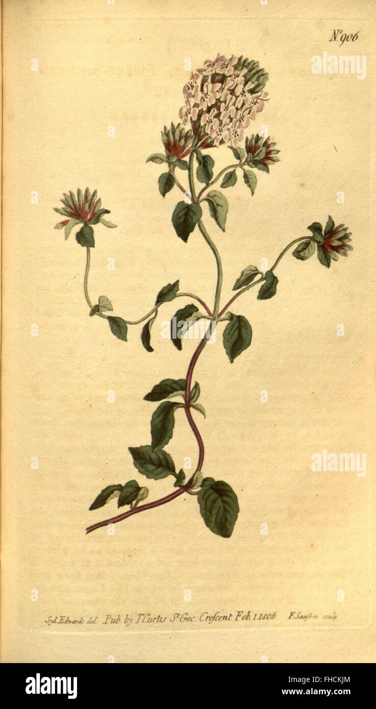 Curtis's Botanical Magazine, a renowned botanical journal, features ...