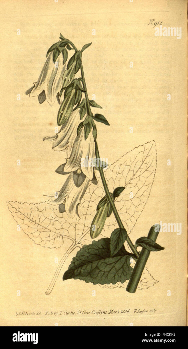 Curtis's botanical magazine, Botany Missouri Botanical Garden, Peter H ...