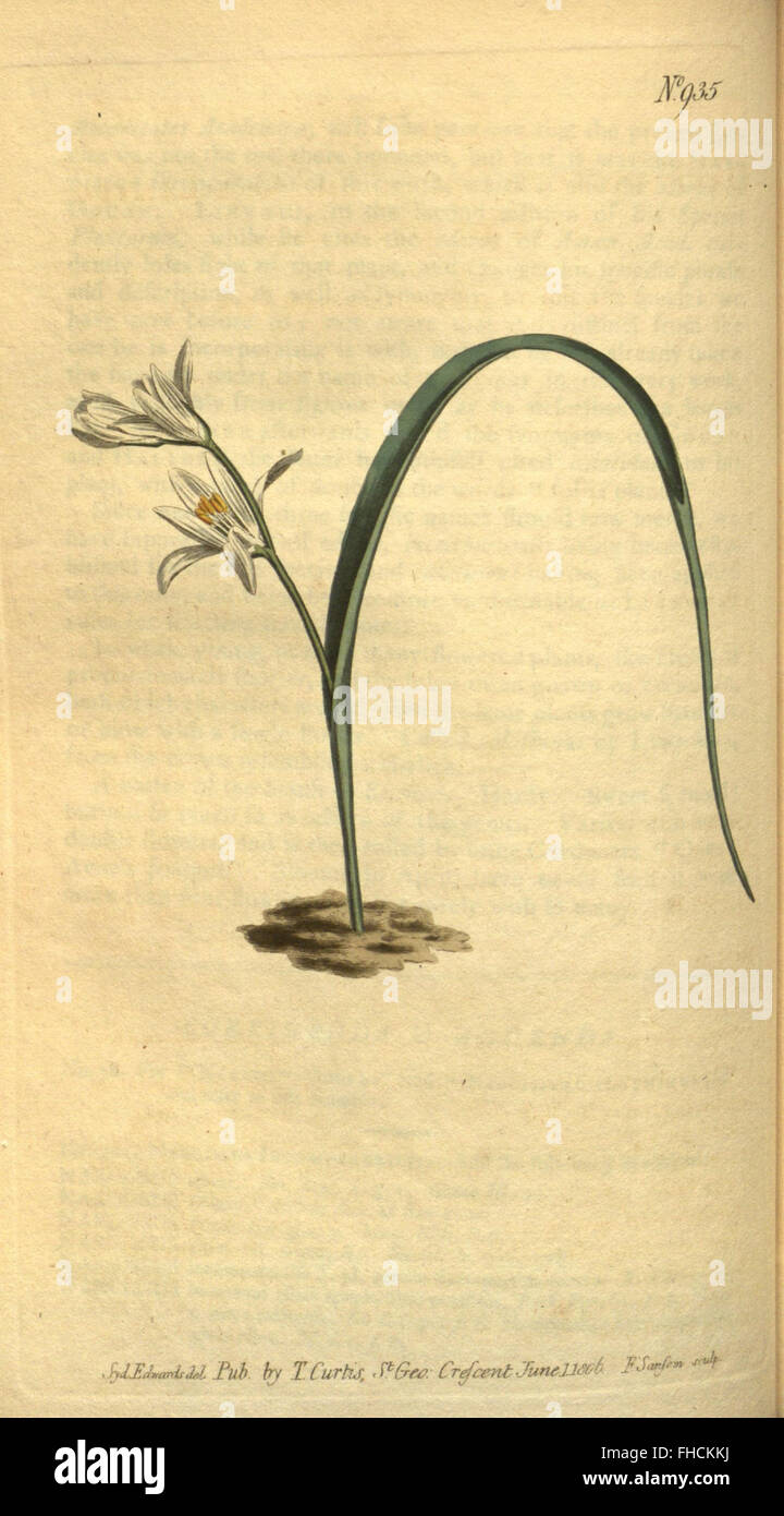 Histoire naturelle des perroquets, Missouri Botanical Garden, Peter H ...