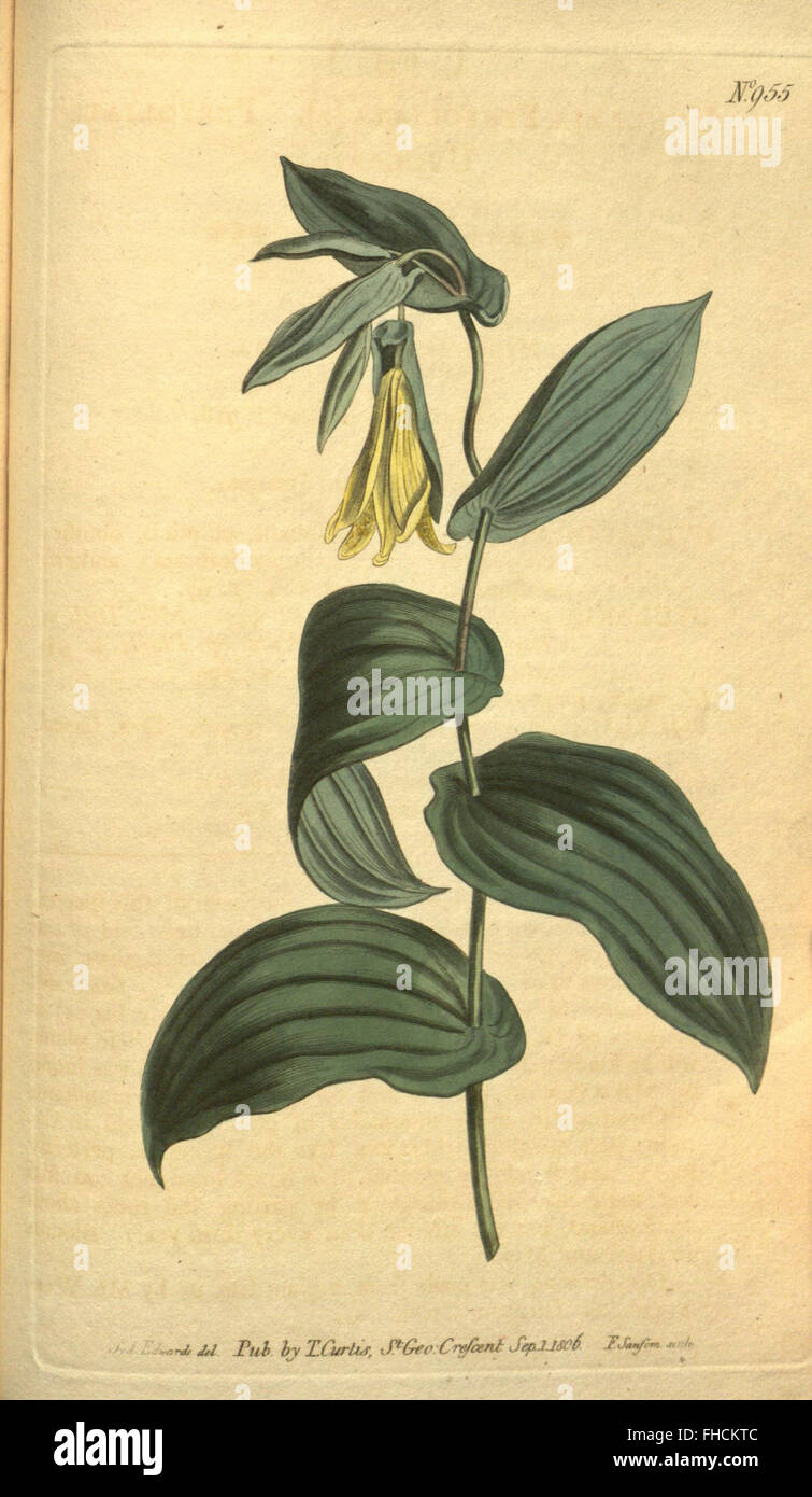 A botanical journal documenting plant species, including scientific ...