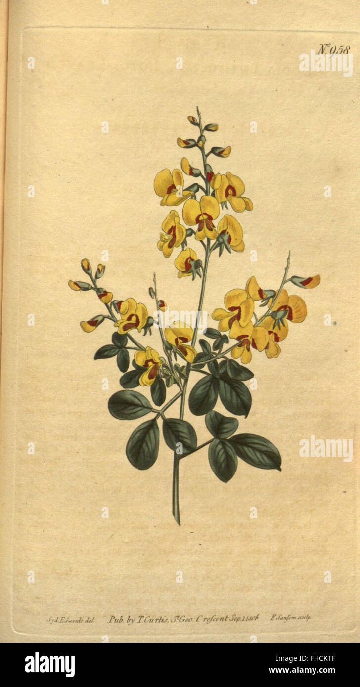 Curtis's Botanical Magazine, a periodical focusing on botany, features ...
