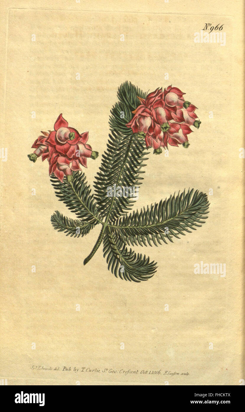 A prestigious botanical magazine showcasing the latest in plant ...