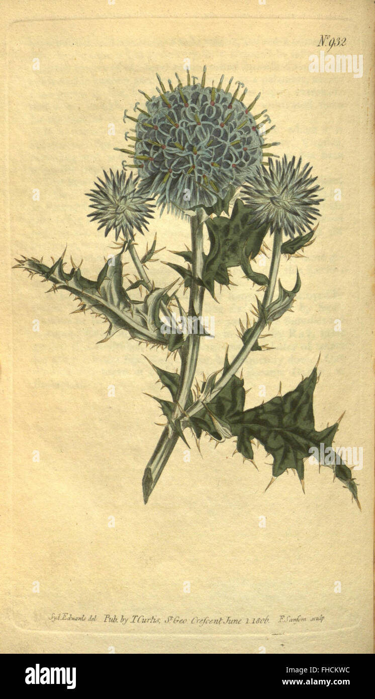 A well-known botanical magazine showcasing plant species, with ...
