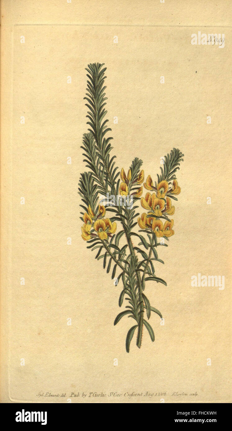Curtis's botanical magazine, Botany Missouri Botanical Garden, Peter H ...