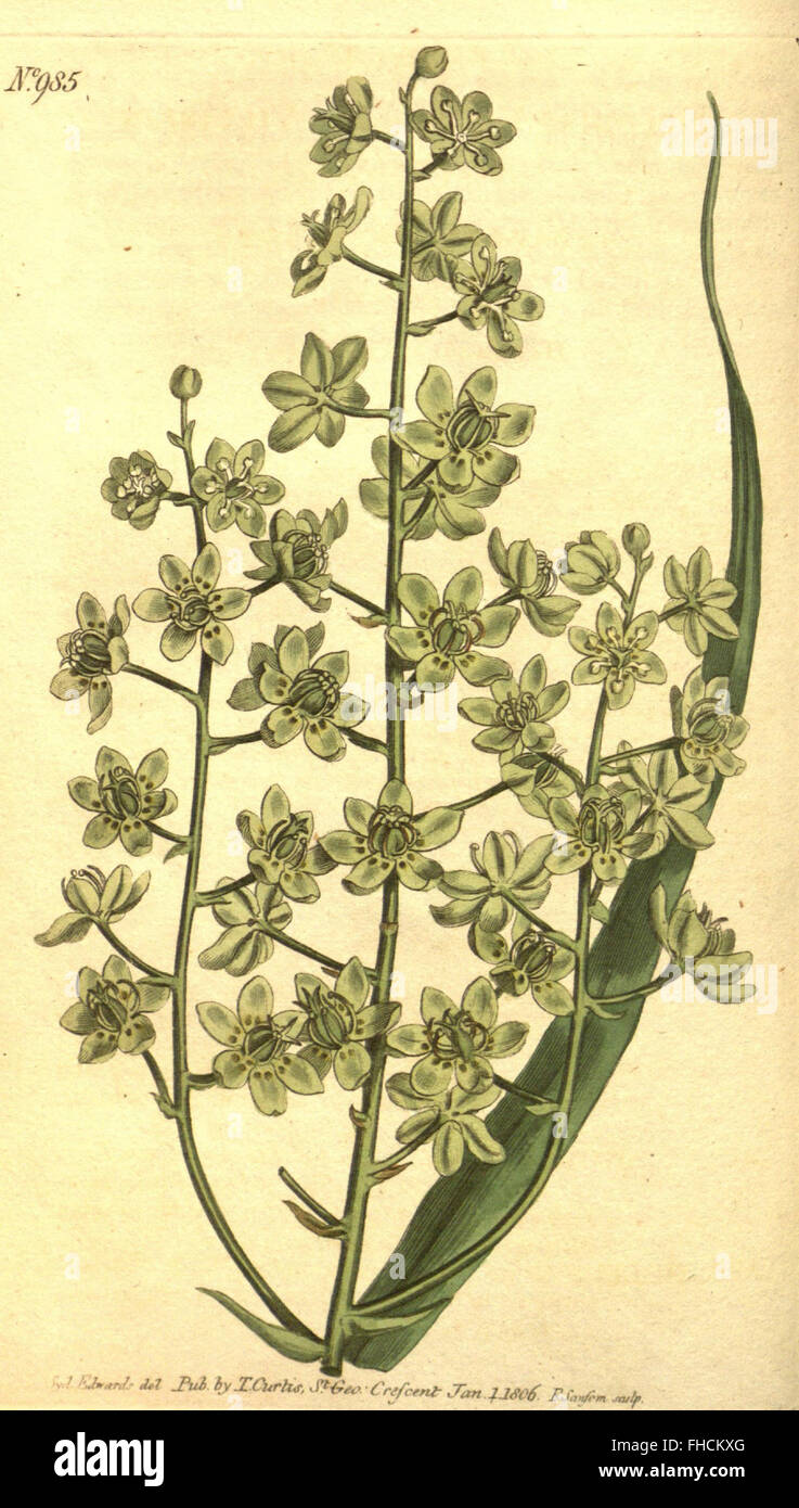 A periodical publication showcasing botanical works, housed at the ...