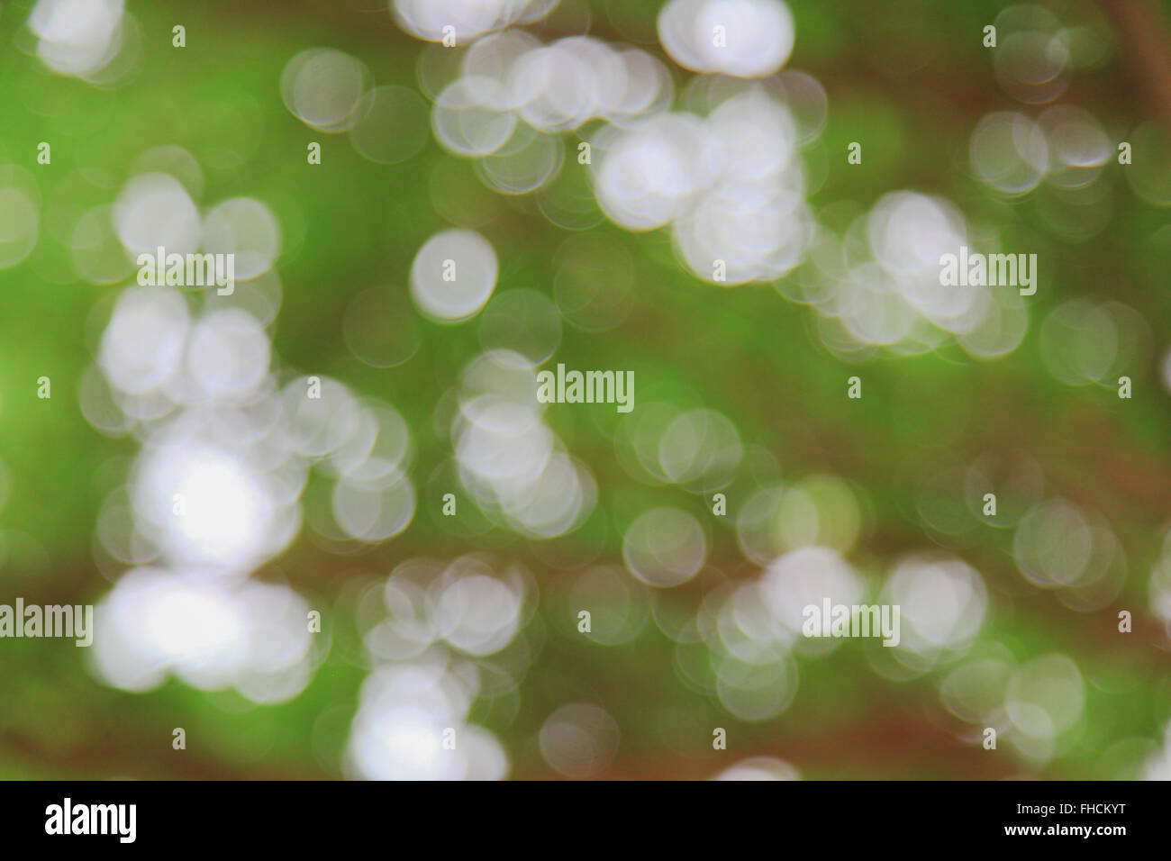 Effect and impact of nature hi-res stock photography and images - Alamy