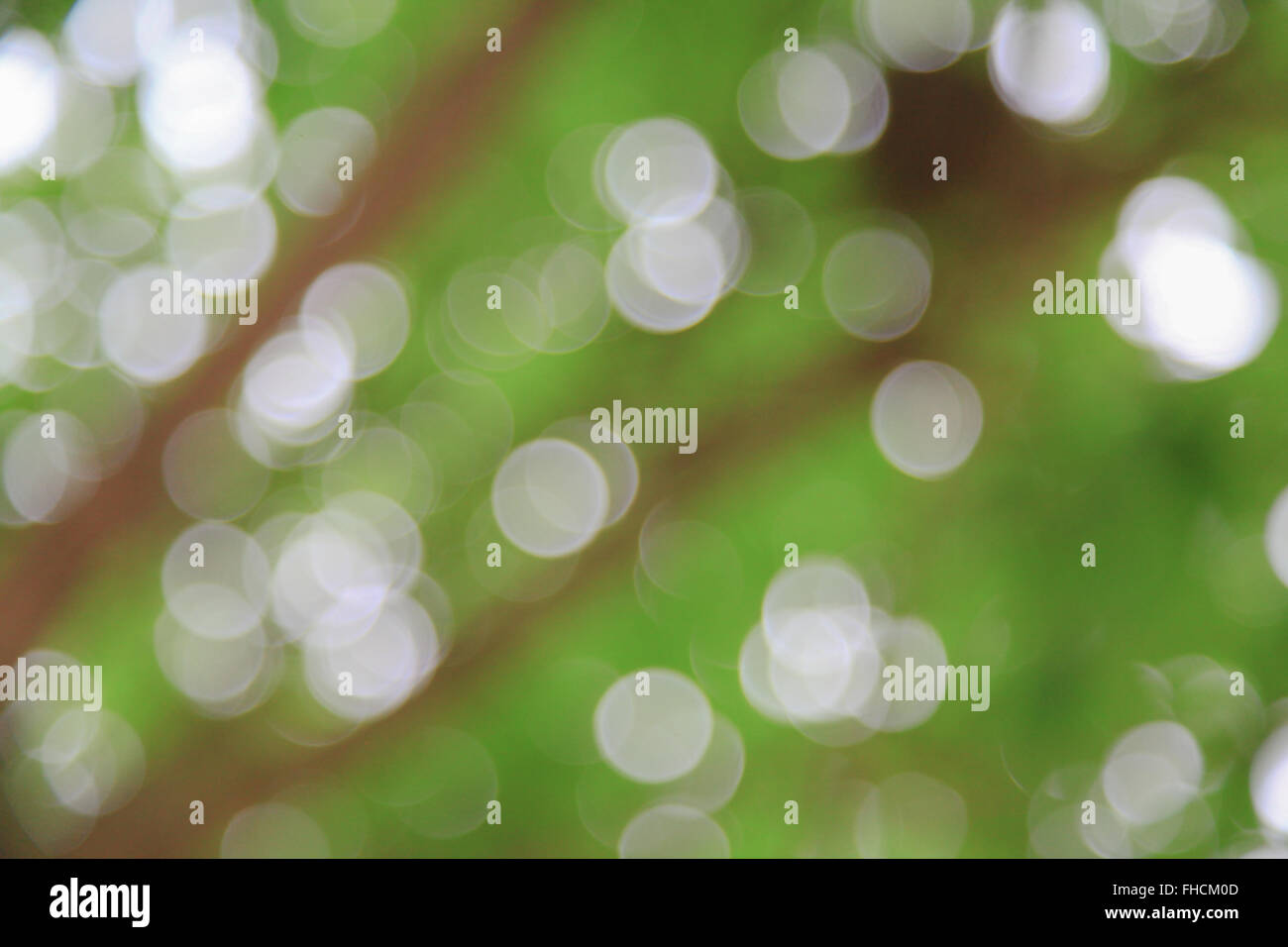 Abstract green nature hi-res stock photography and images - Alamy