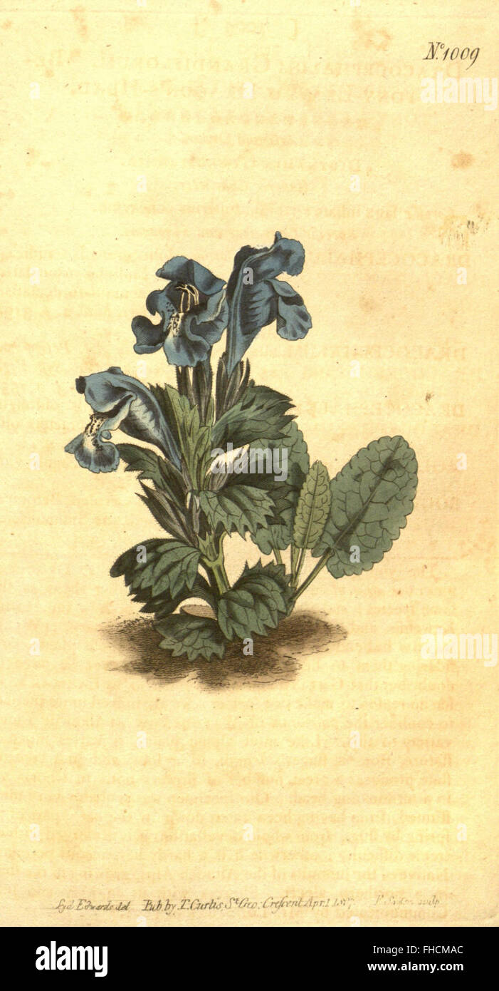 Curtis's Botanical Magazine, an influential botanical journal that ...