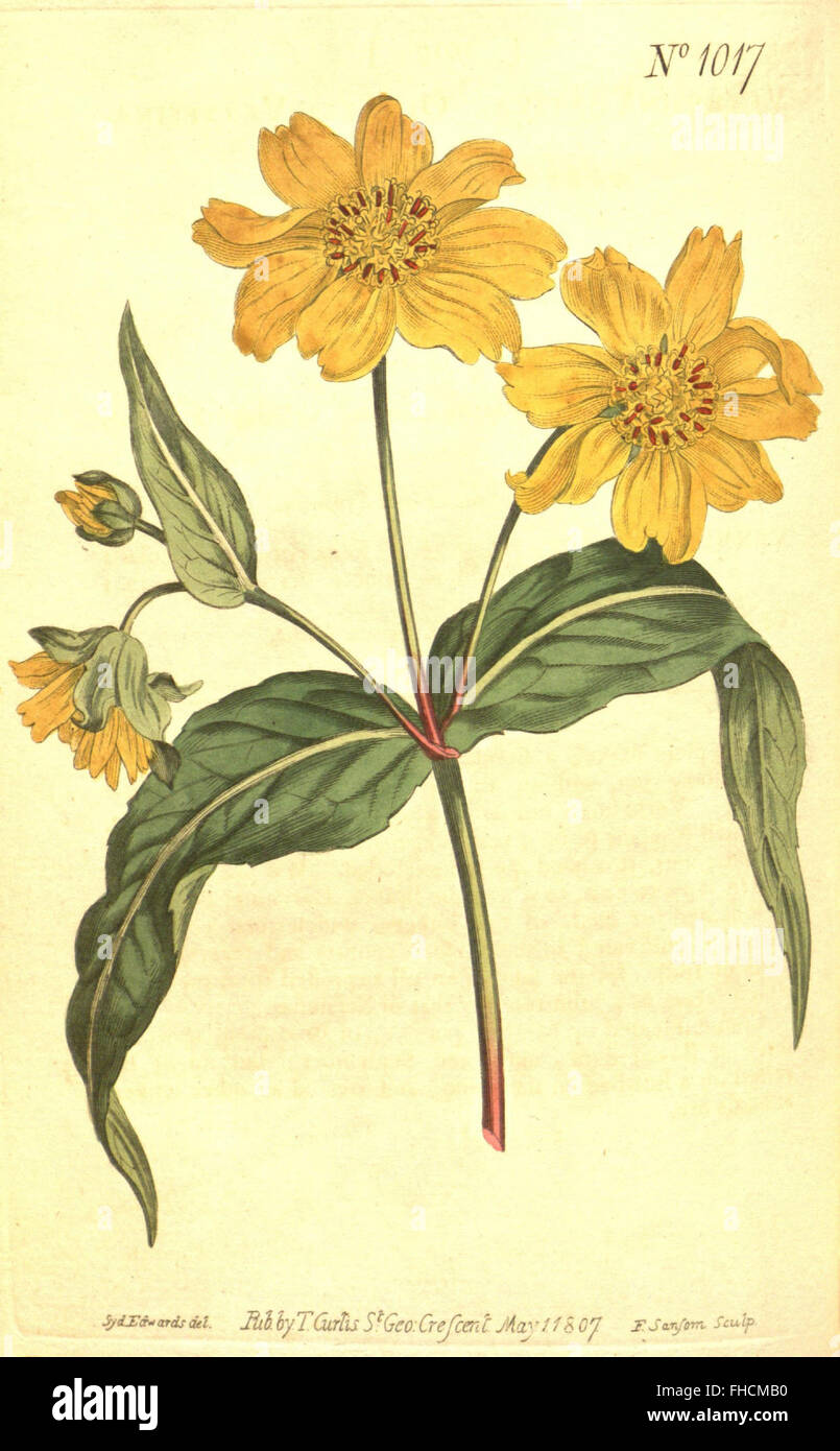 Curtis's Botanical Magazine, a well-known botanical periodical ...