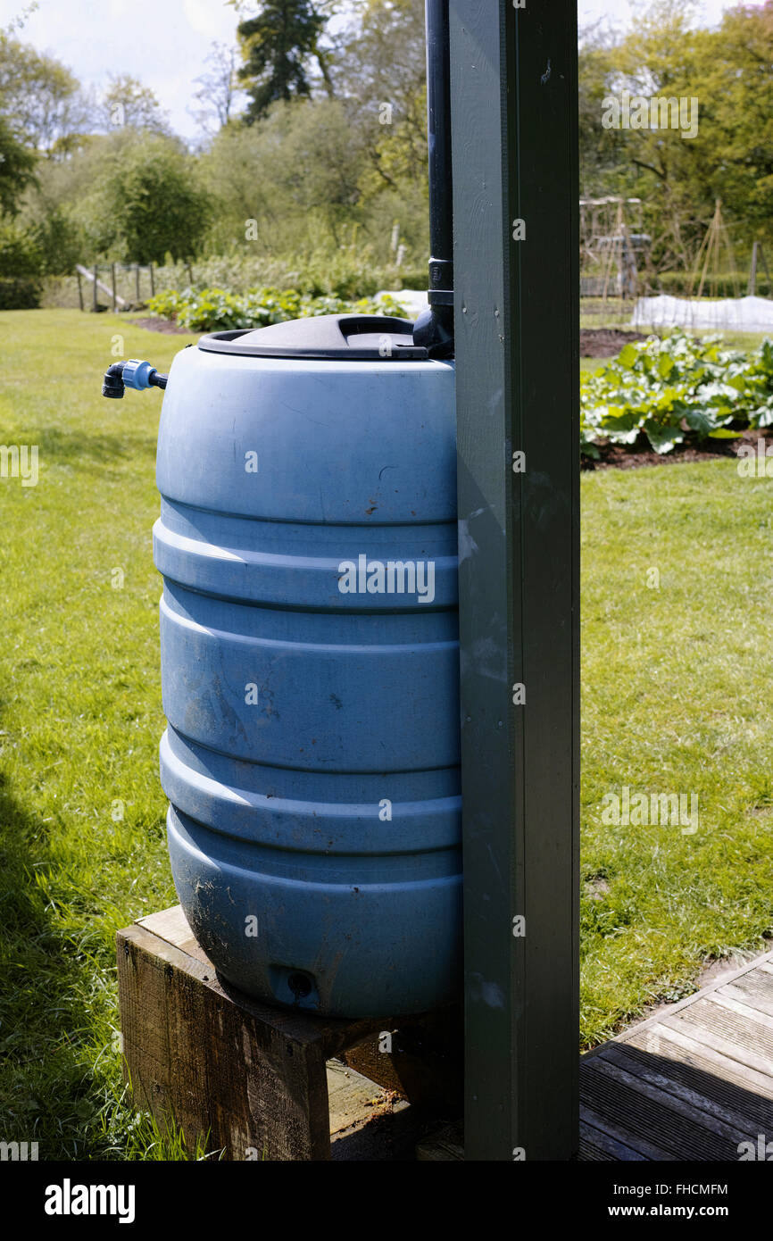 water butt in garden Stock Photo - Alamy