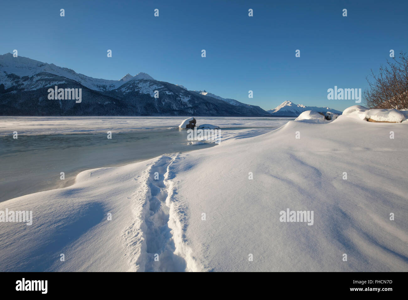 Snowshoe path through wind sculpted snow to a frozen river on a sunny ...