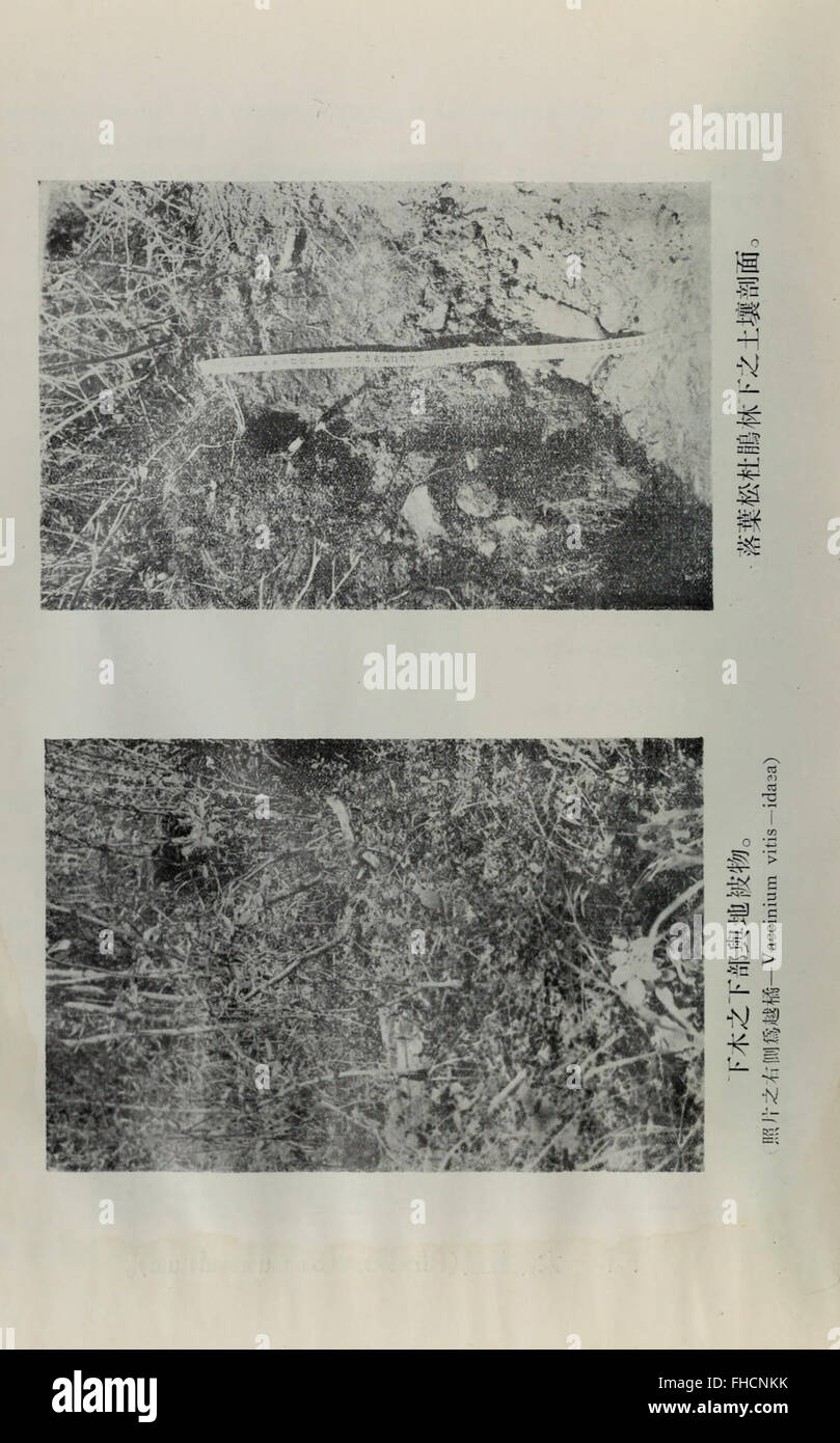 Da Xing An Ling Sen Lin Zi Yuan Diao Cha Bao Gao (1954-1955 Stock Photo ...