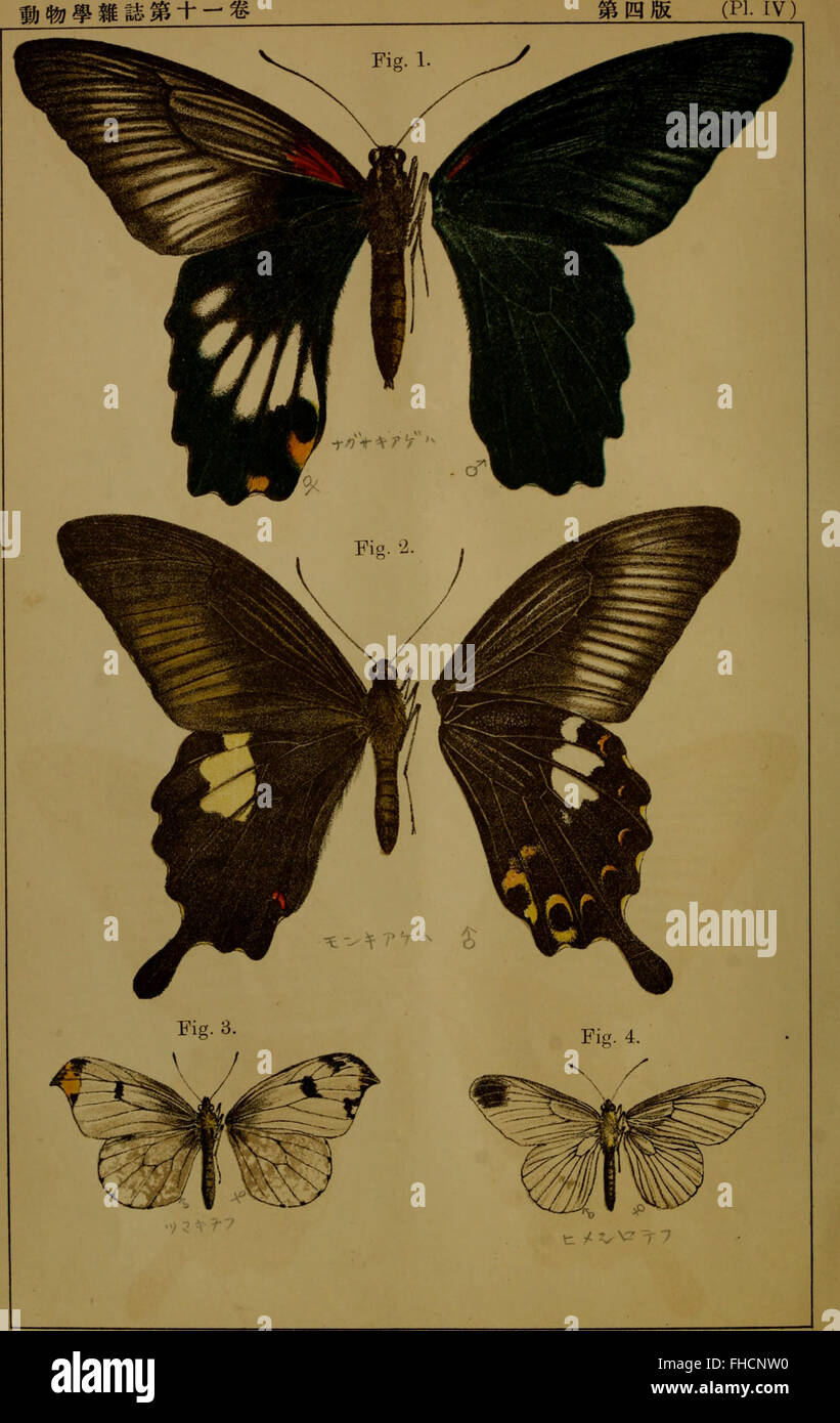 A Japanese biological journal published in 1899, focusing on various aspects of biology ...