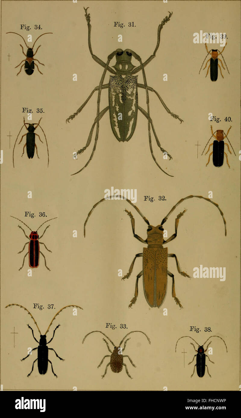 A Japanese journal published in 1900 that focused on the study of ...