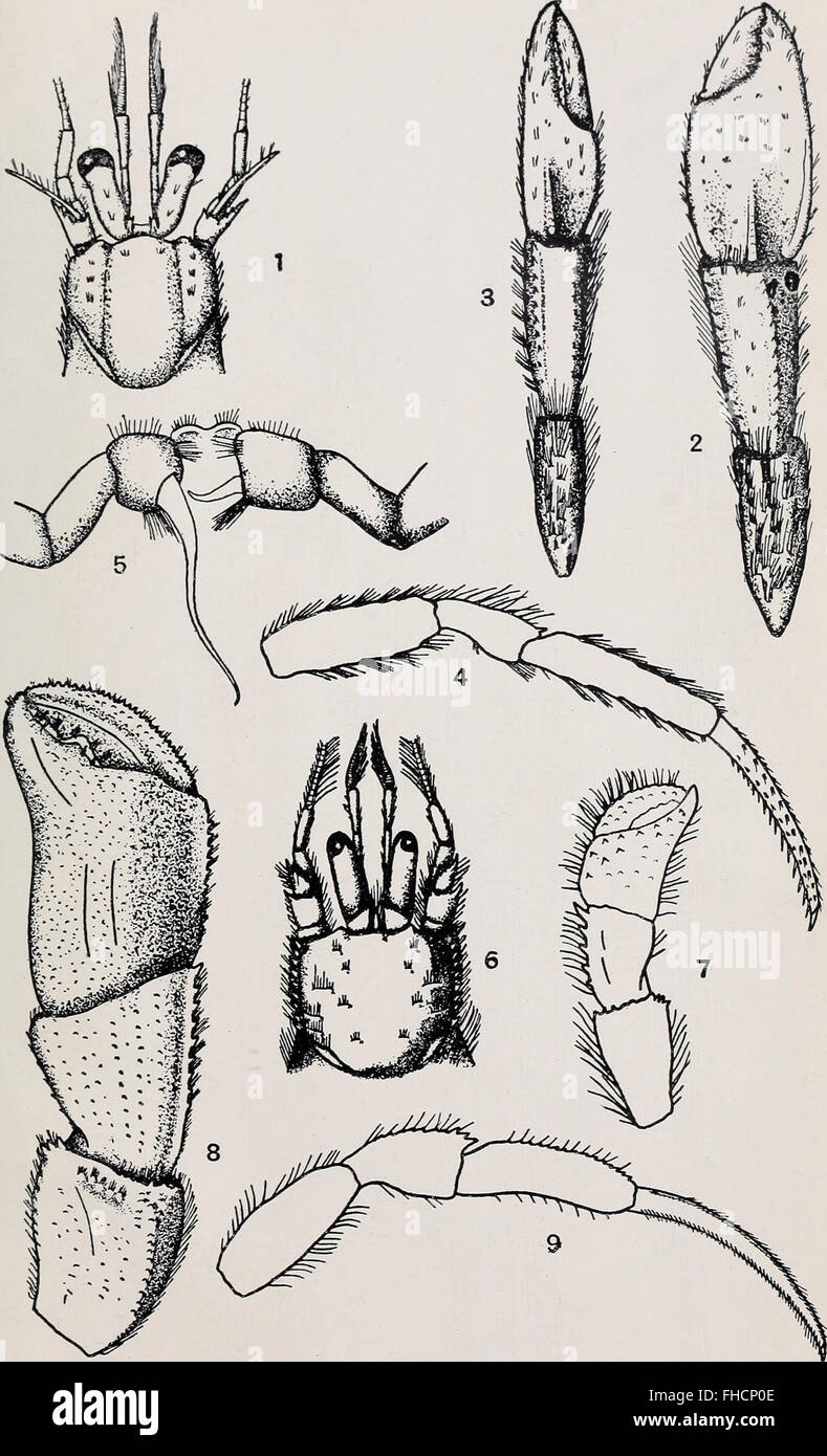 A 1914 study on the decapod crustaceans, particularly the crawling ...