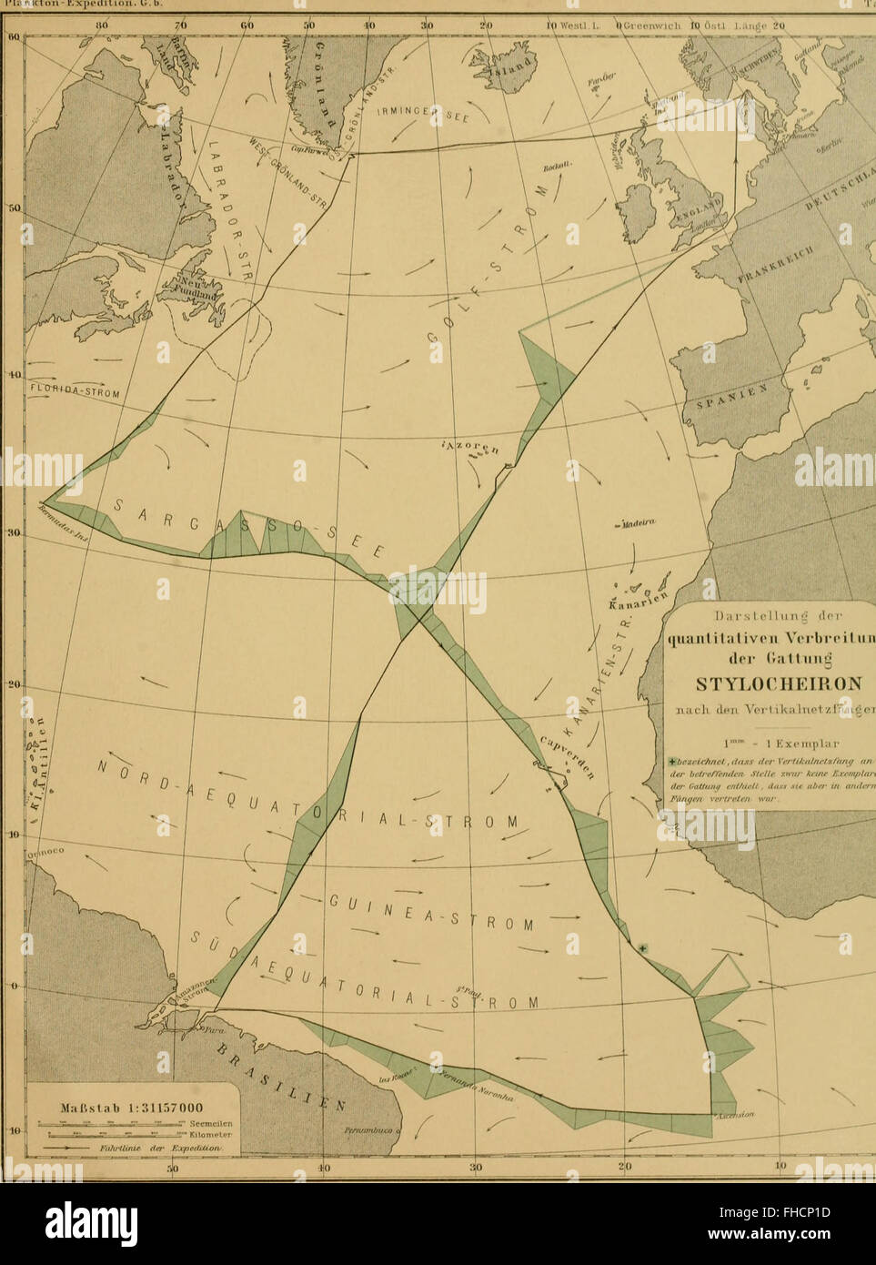 Decapods and Schizopods (1893), a scientific study on crustaceans ...