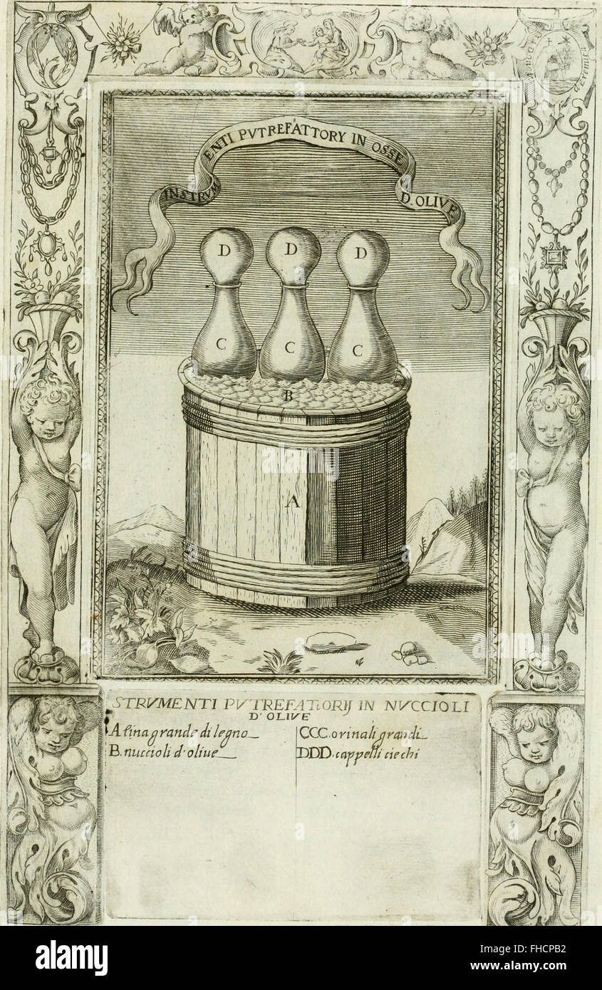 Dell'elixir vitæ (1624), an early 17th-century work on the concept of ...