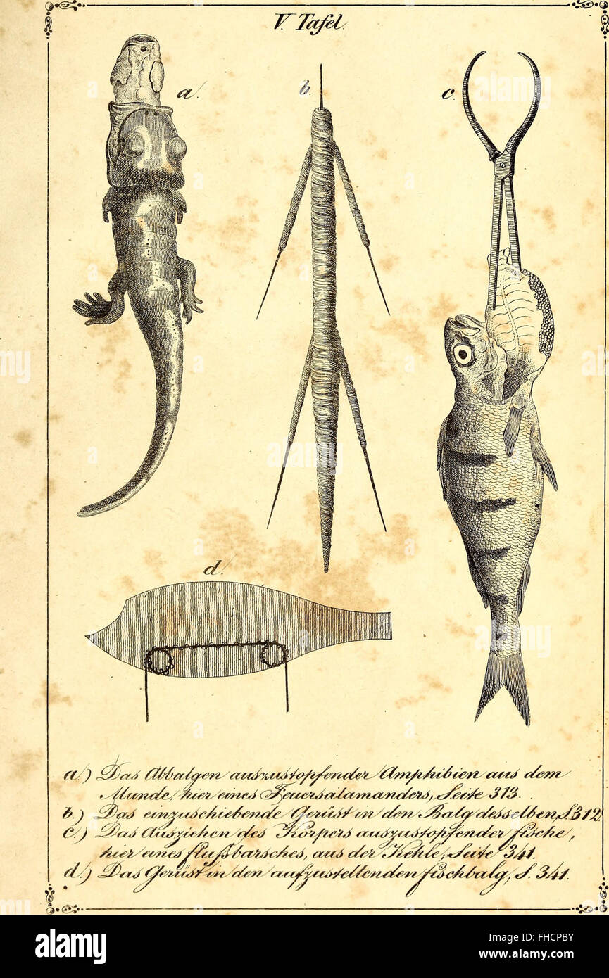 A 1852 work on the demonstration and classification of natural objects ...