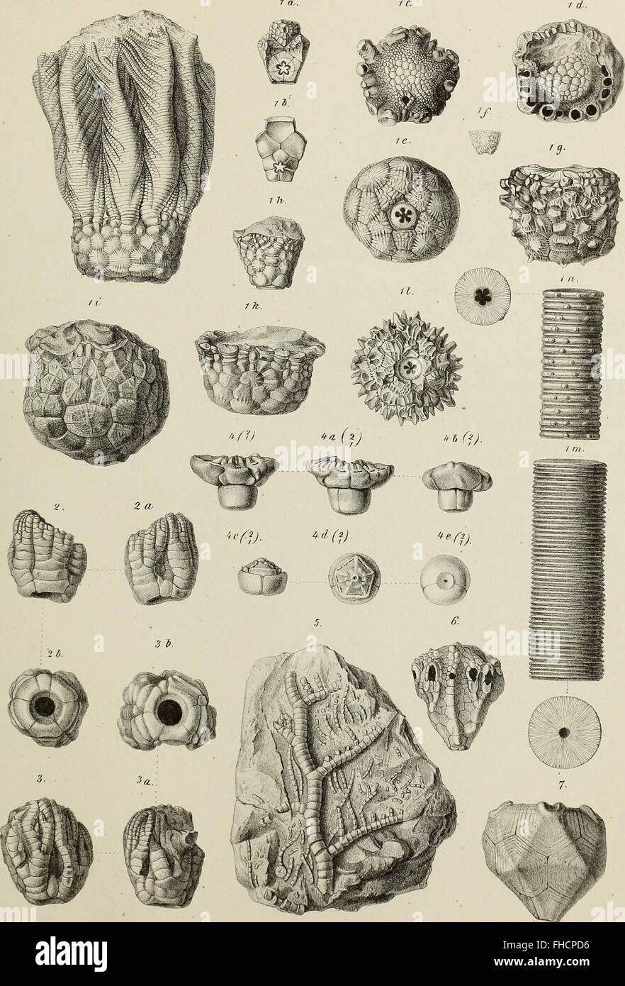 A scholarly journal published by the Austrian Academy of Sciences in ...