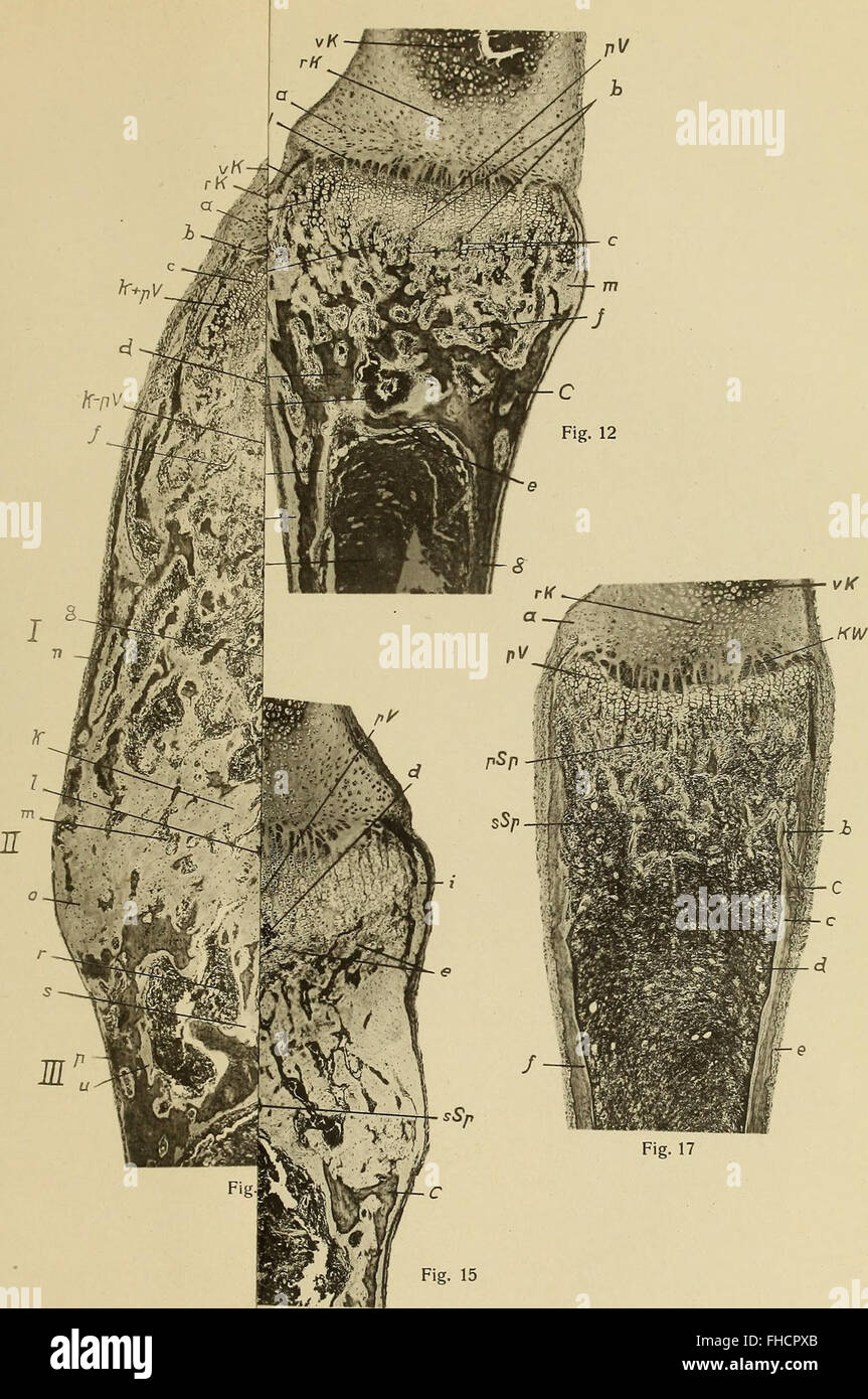 A 1914 publication by the Austrian Academy of Sciences, presenting ...