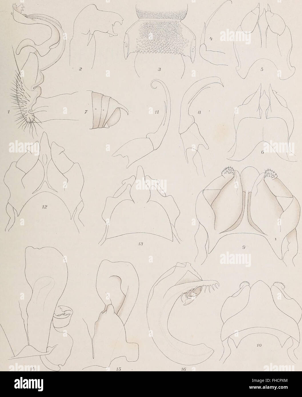 Physical aspects of human biology hi-res stock photography and images ...