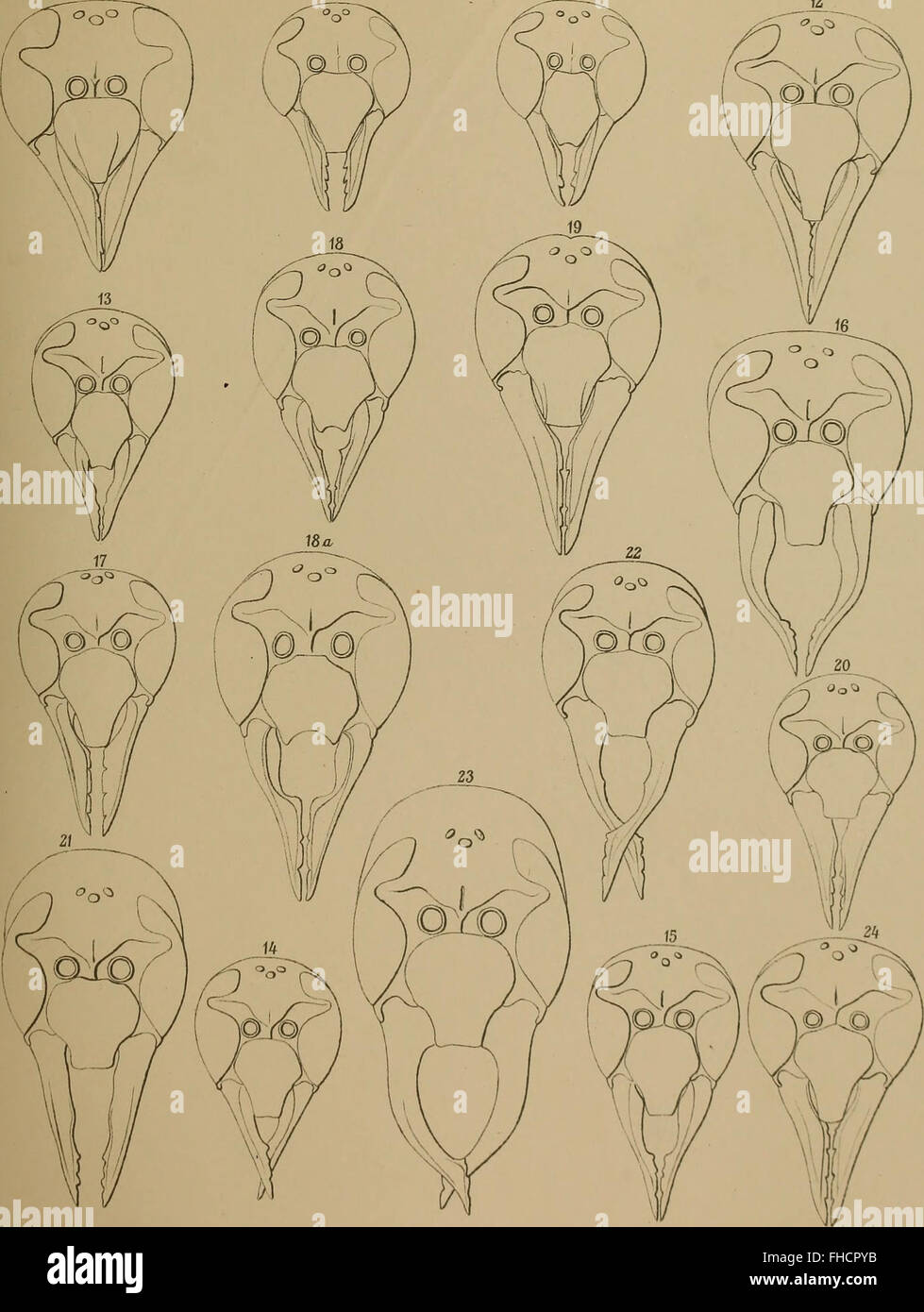 A 1915 publication by the Austrian Academy of Sciences, presenting ...