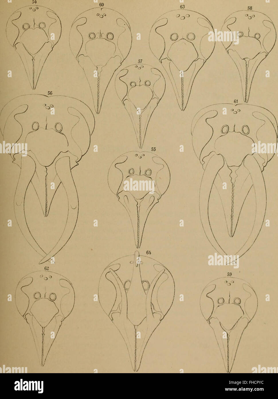 A scholarly journal from the Austrian Academy of Sciences, publishing ...