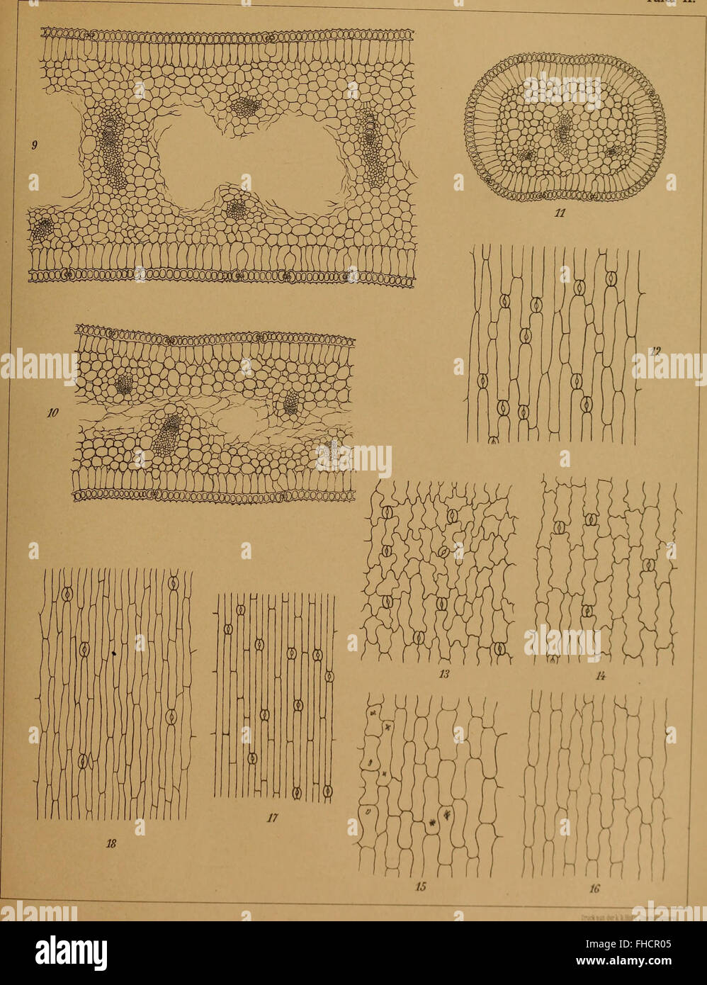 Scientific papers from the Austrian Academy of Sciences, published in ...