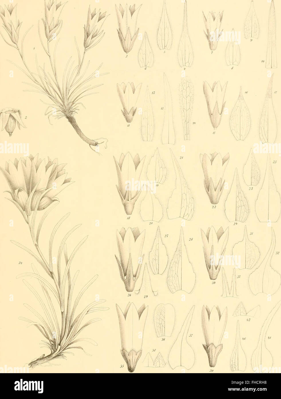 A scholarly journal from the Imperial Academy of Sciences in 1887 ...