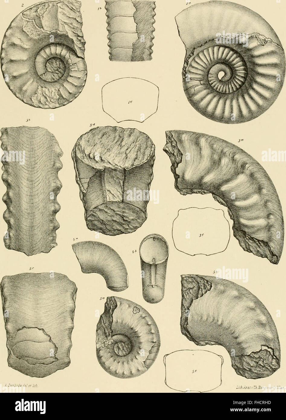 A scientific publication from the Imperial Academy of Sciences ...