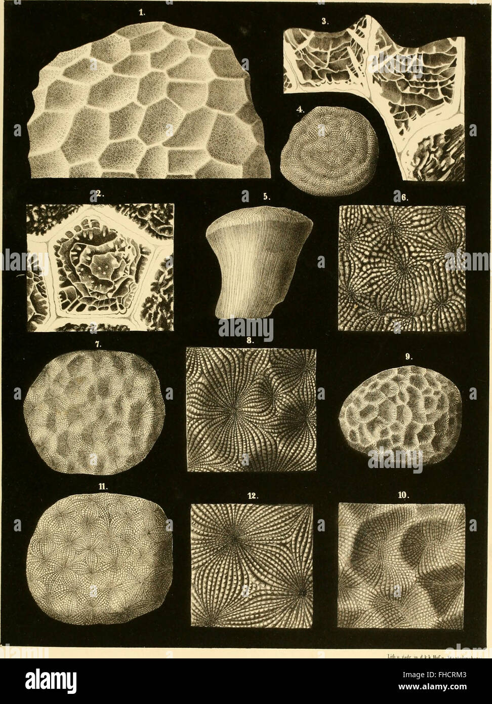 A collection of scientific papers from the Imperial Academy of Sciences ...