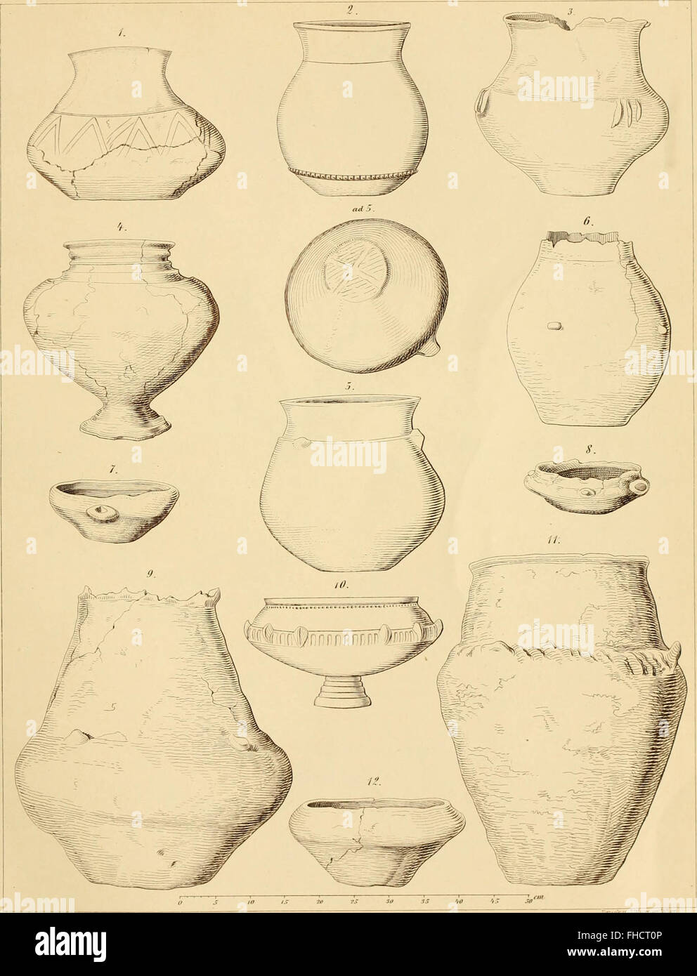 Scientific papers from the Imperial Academy of Sciences, covering ...