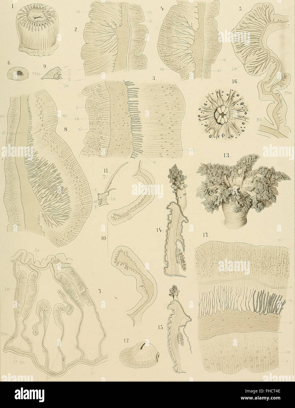 A collection of scholarly works from the Medical and Natural Science ...