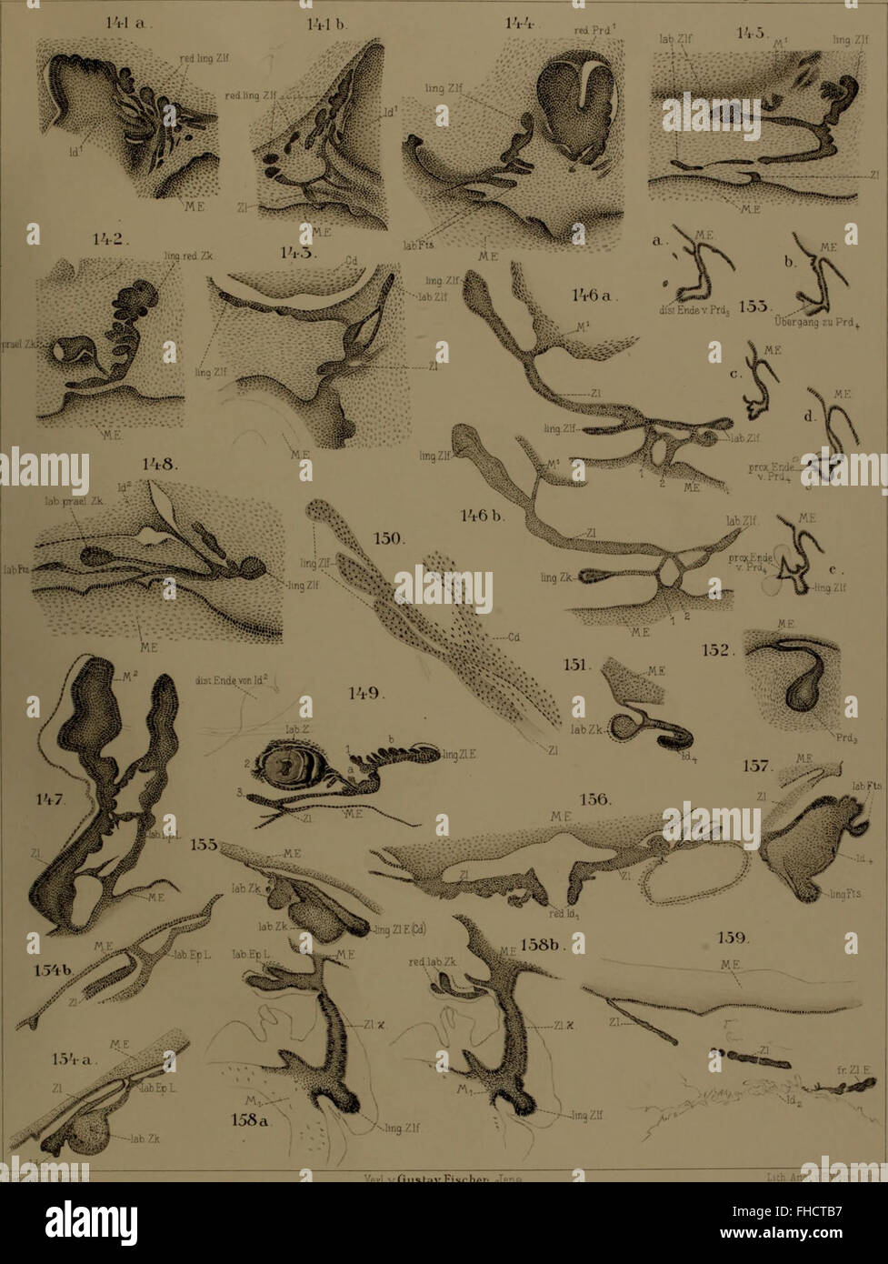 A scientific journal from 1897, published by the Medical-Natural ...
