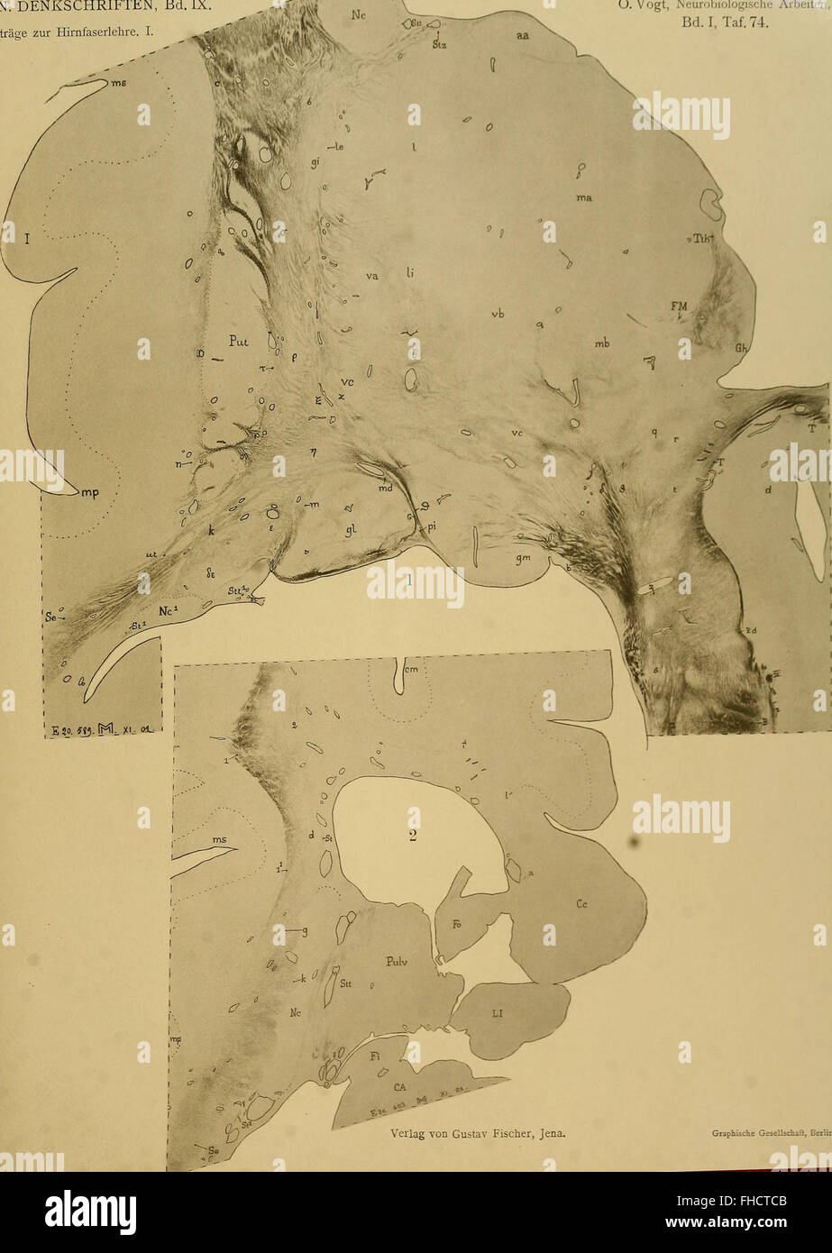 a scholarly journal from the Medical and Natural Science Society in ...