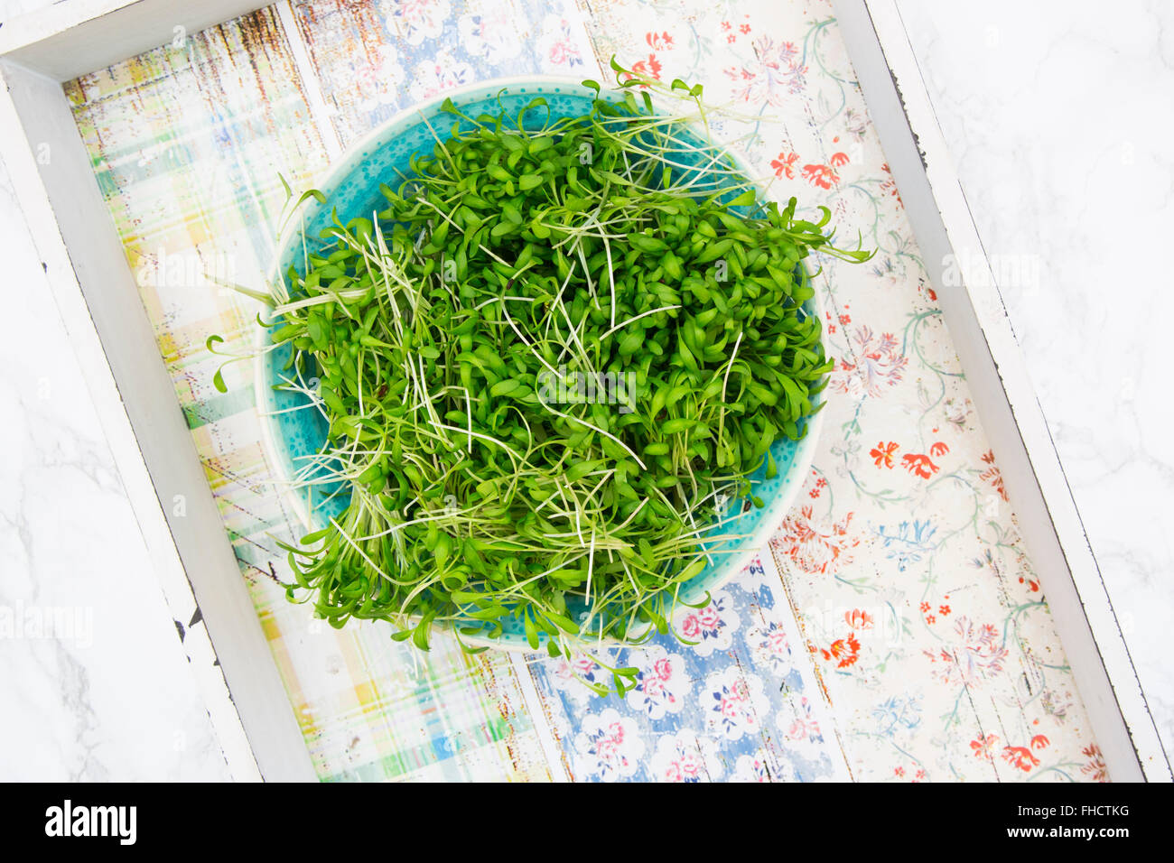 Garden cress in bowl on tray Stock Photo - Alamy