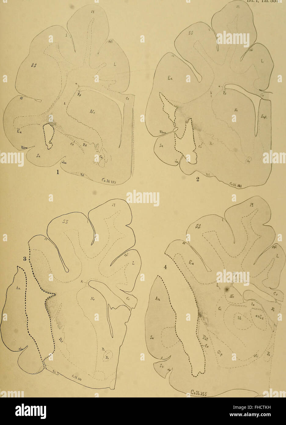 A scientific publication from the Medical and Natural Science Society ...