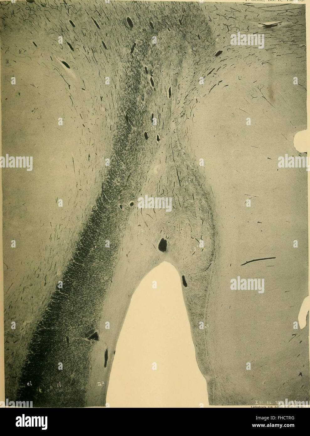 A collection of works published by the Medical-Natural Science Society ...