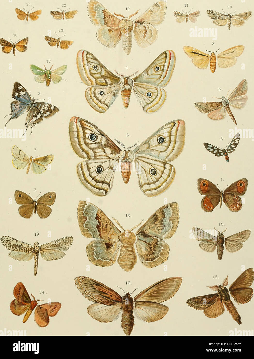 A scholarly journal from the Medical and Natural Science Society of ...