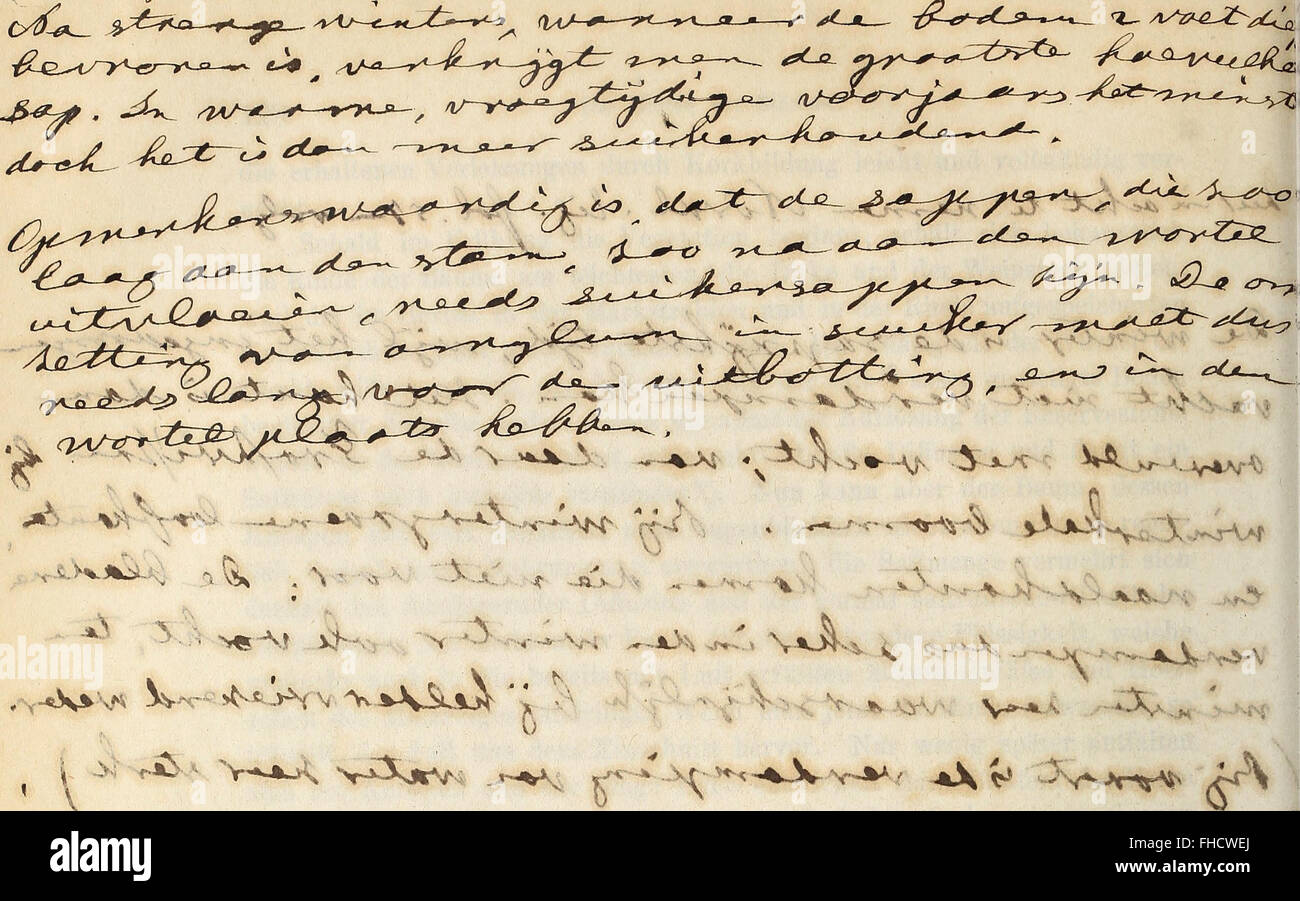 A 1860 German work on trees, exploring their biology, species, and ...