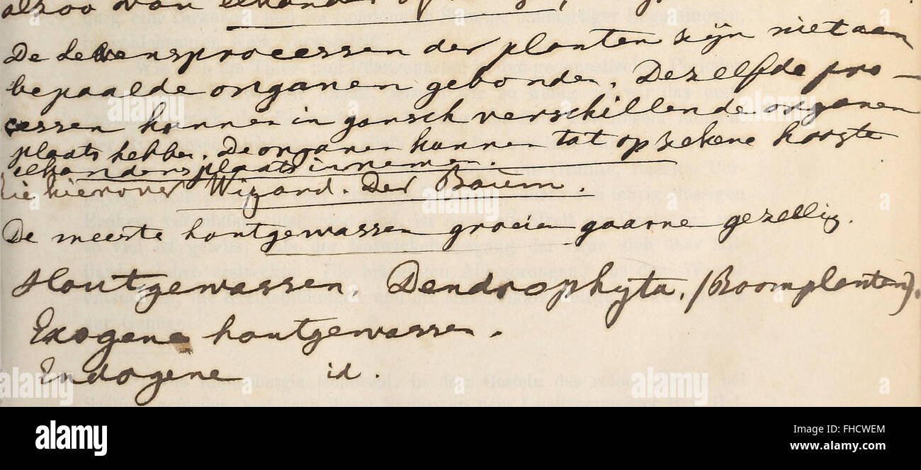 Der Baum, a 1860 work documenting the history, types, and significance ...