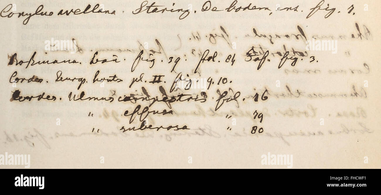 A detailed study on trees, their growth, structure, and ecological ...