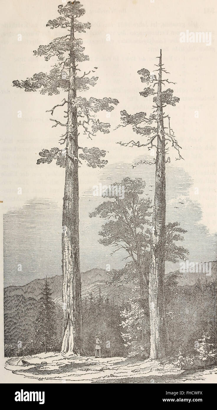 A 1860 work on the study of trees, their species, and their ecological ...