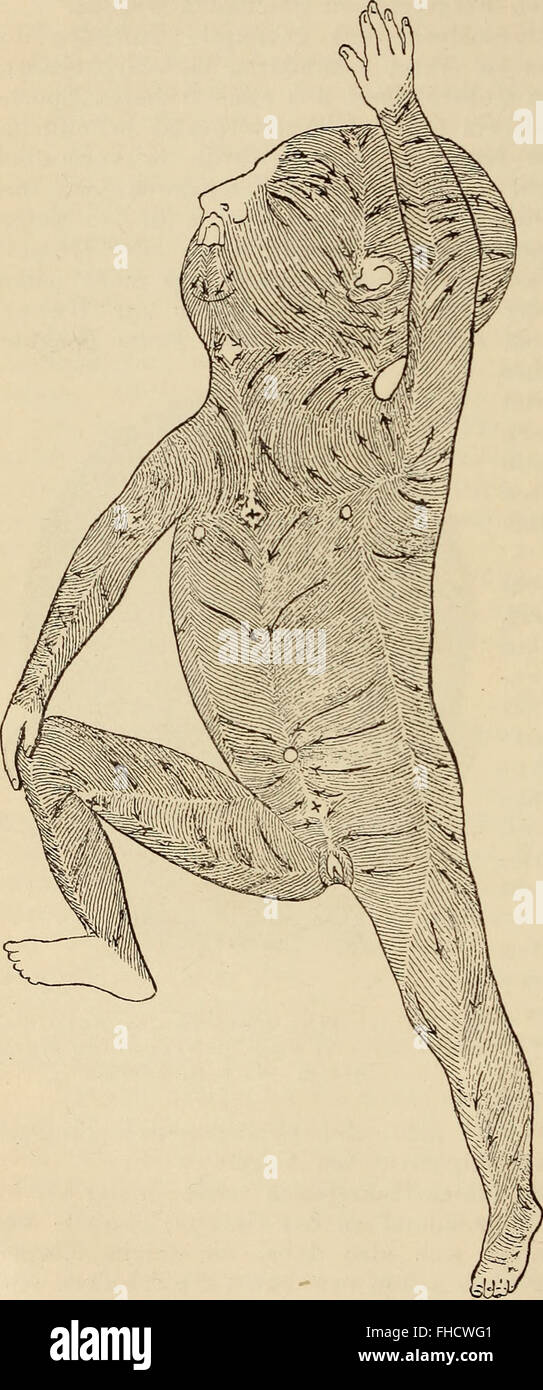 A 1902 publication exploring the structure of the human body as ...