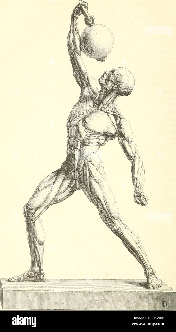 An ongoing study of human nature and behavior, starting from 1886 and ...