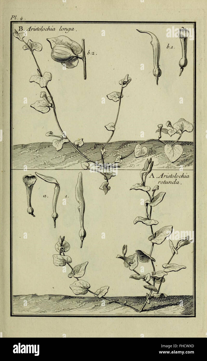 A detailed description of 719 plants, focusing on their medicinal ...
